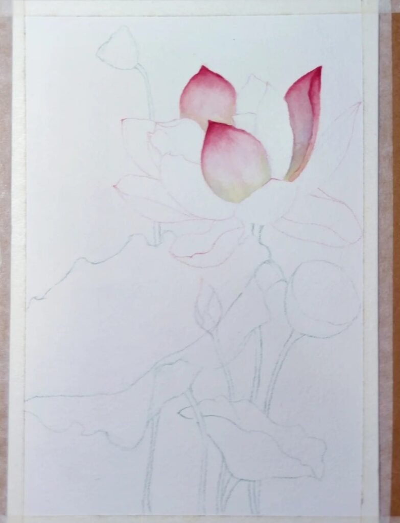5+ easy steps on how to draw a lotus flower for beginners