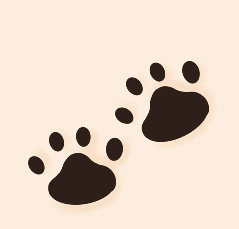 How to Draw a Paw Print in 6 Simple, Fun, and Quick Steps