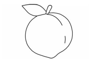 6 creative ideas on how to draw a peach with style