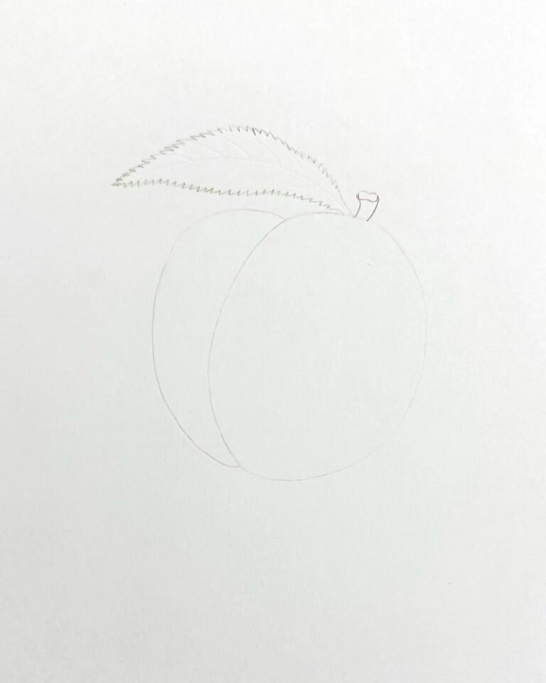 6 creative ideas on how to draw a peach with style