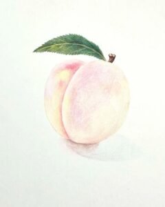 6 creative ideas on how to draw a peach with style