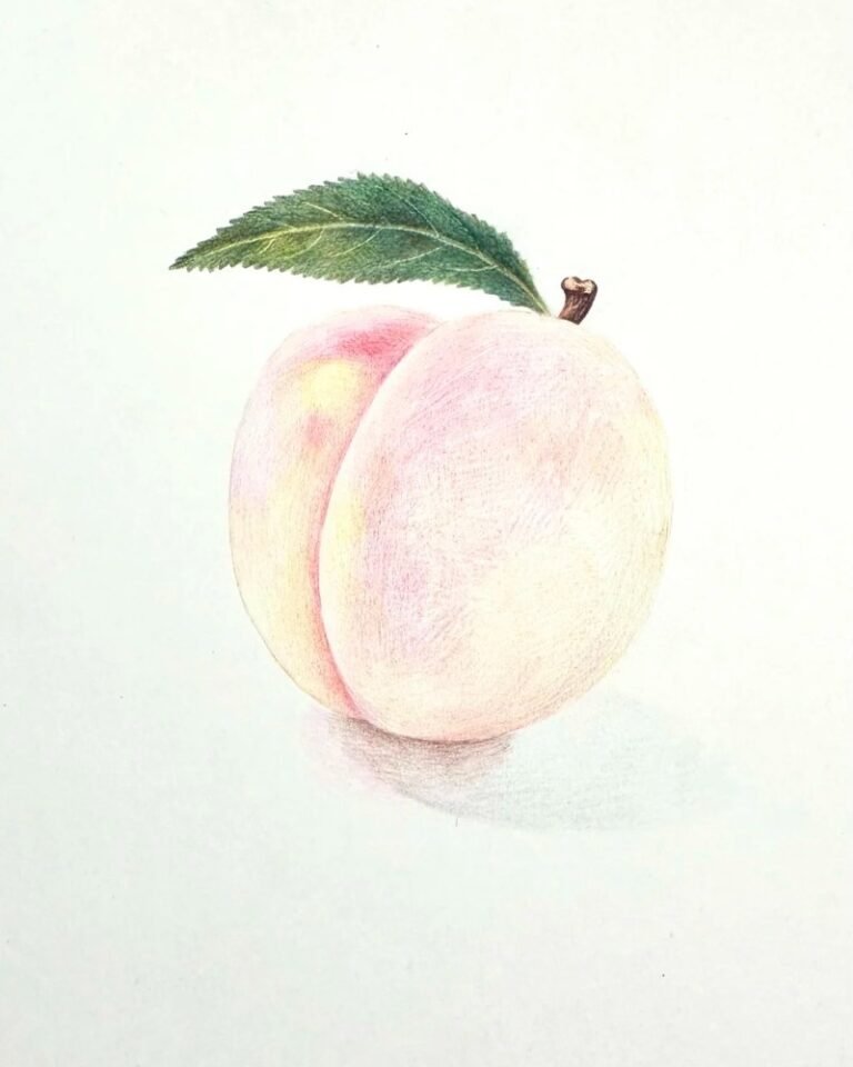 6 creative ideas on how to draw a peach with style