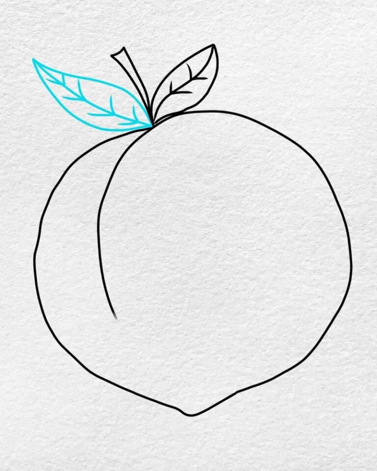 6 creative ideas on how to draw a peach with style