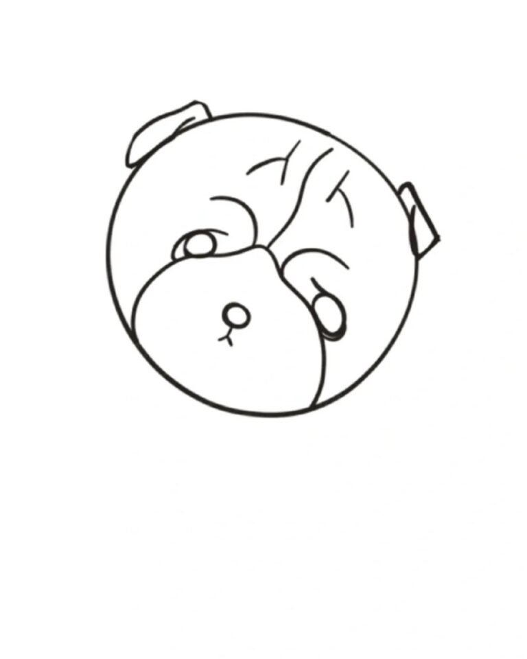 How to draw a Pug in 6 Simple and cute steps
