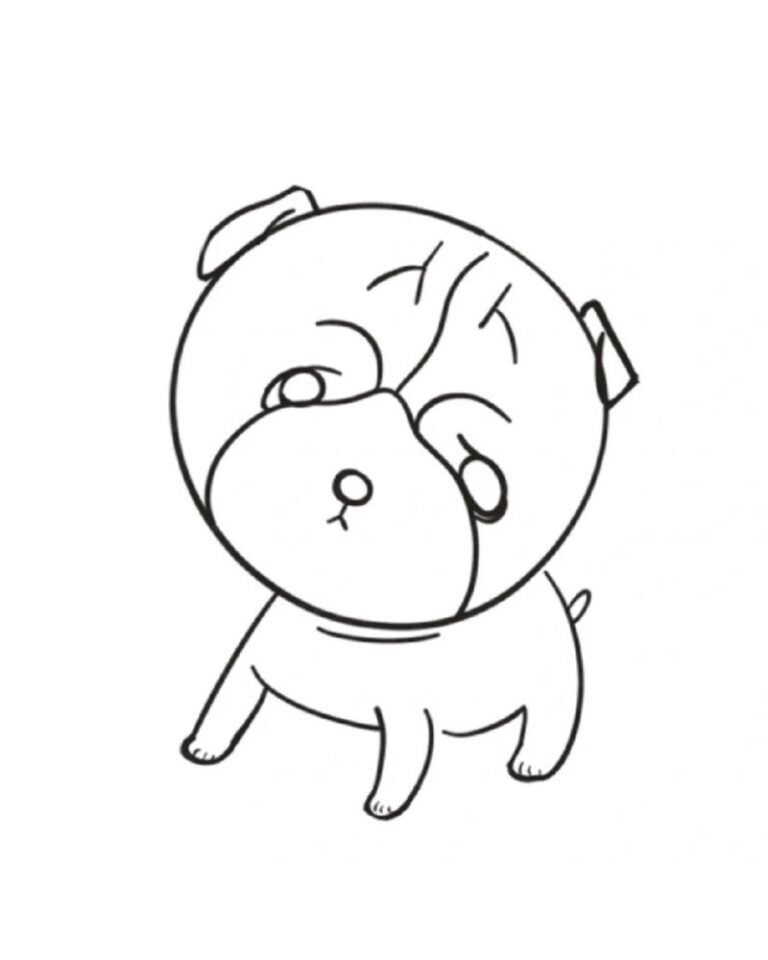 How to draw a Pug in 6 Simple and cute steps