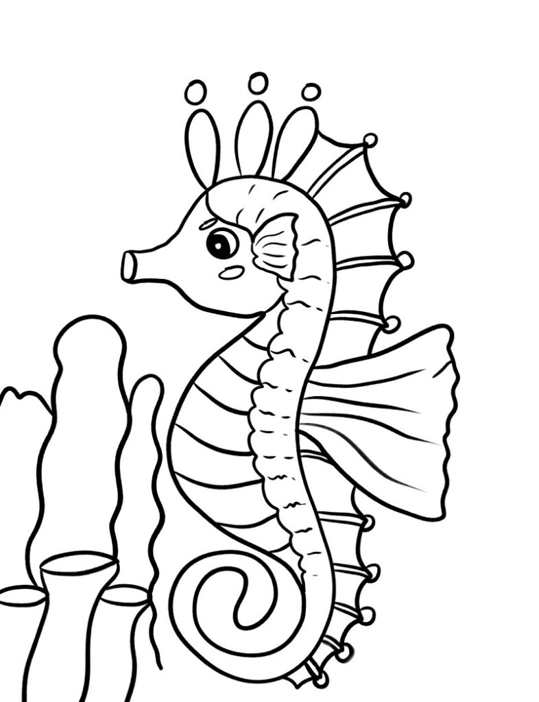 4+ fast ways to learn how to draw a Seahorse like a pro