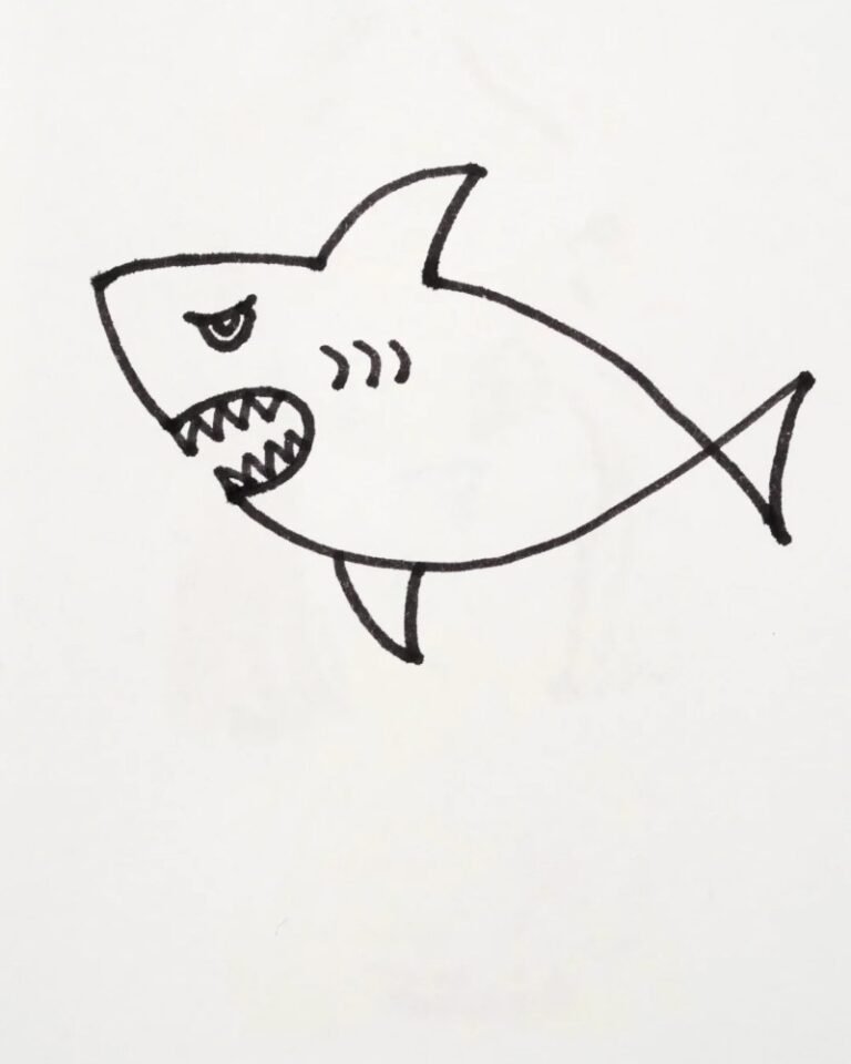 5+ easy steps on how to draw a Shark for beginners
