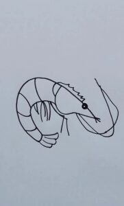 Top 8 pro tips on how to draw a shrimp with style