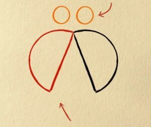 8+ creative ways to master how to draw Lady Bird