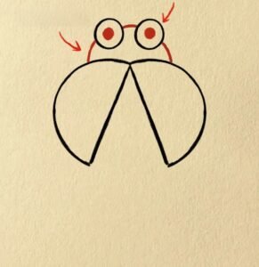 8+ creative ways to master how to draw Lady Bird
