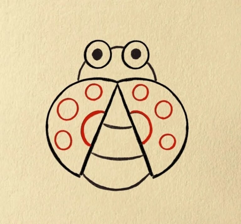 8+ creative ways to master how to draw Lady Bird