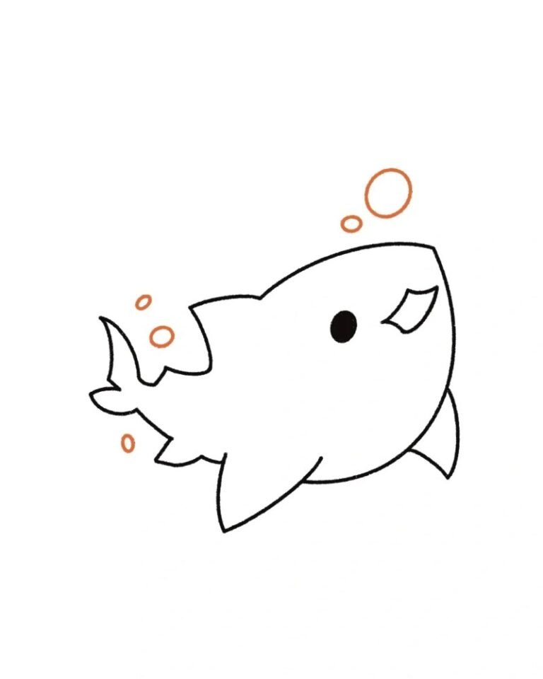5+ easy steps on how to draw a Shark for beginners