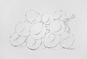 How to draw grapes in 6 creative styles that pop