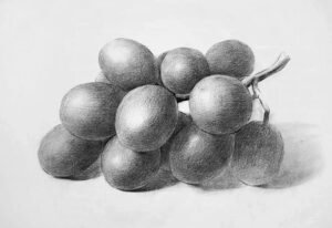 How to draw grapes in 6 creative styles that pop