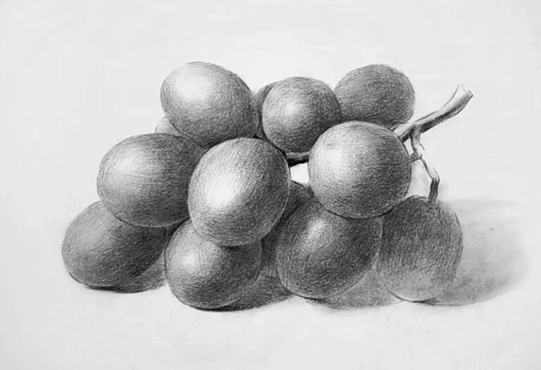 How to draw grapes in 6 creative styles that pop