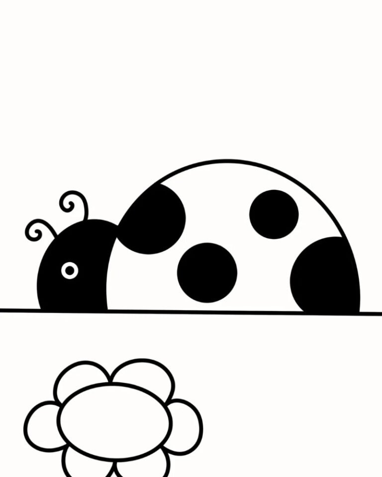8+ creative ways to master how to draw Lady Bird