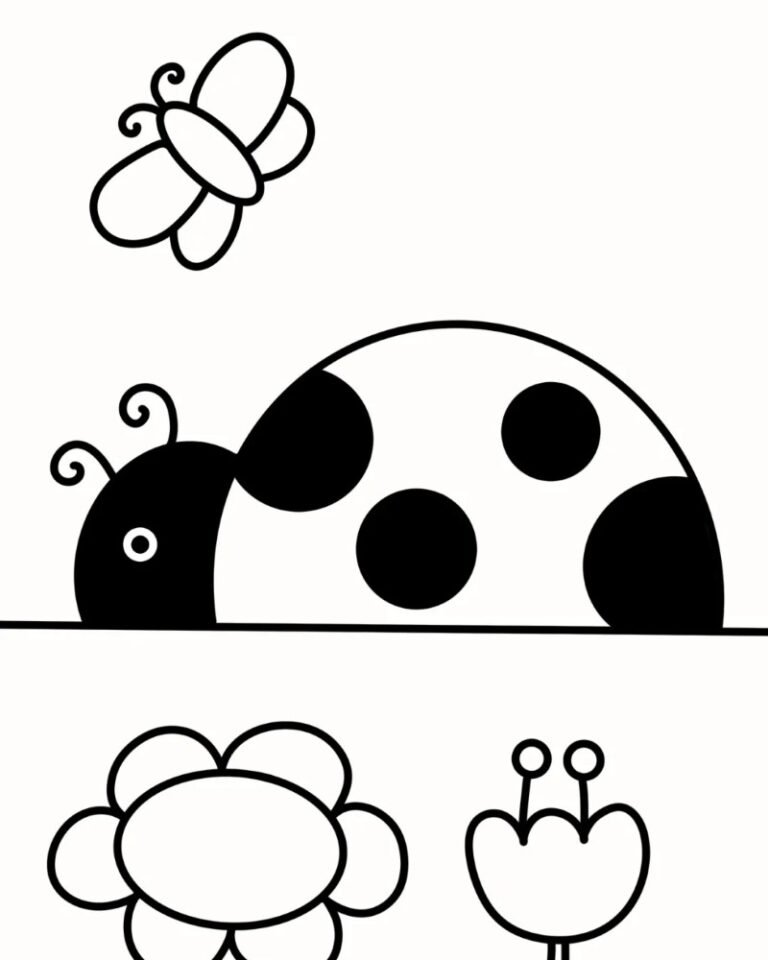 8+ creative ways to master how to draw Lady Bird