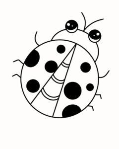 8+ creative ways to master how to draw Lady Bird