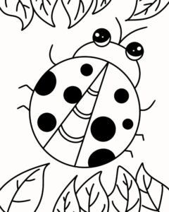 8+ creative ways to master how to draw Lady Bird