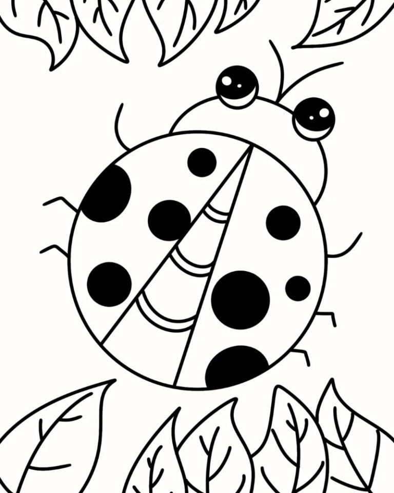 8+ creative ways to master how to draw Lady Bird