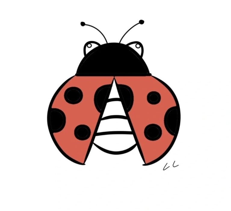 8+ creative ways to master how to draw Lady Bird